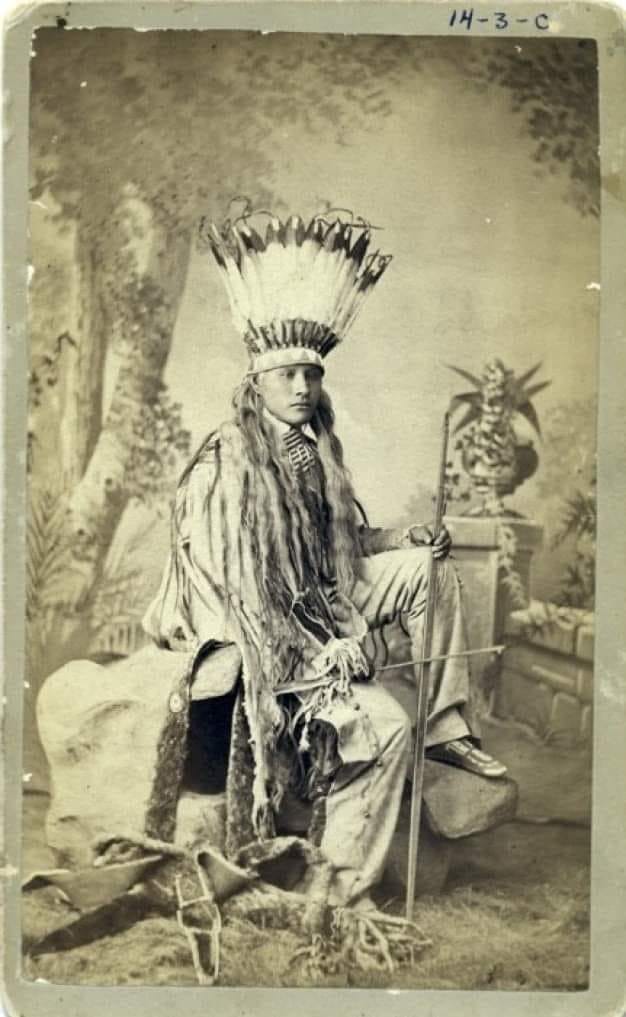 White Buffalo, Cheyenne - The Ya-Native Blog